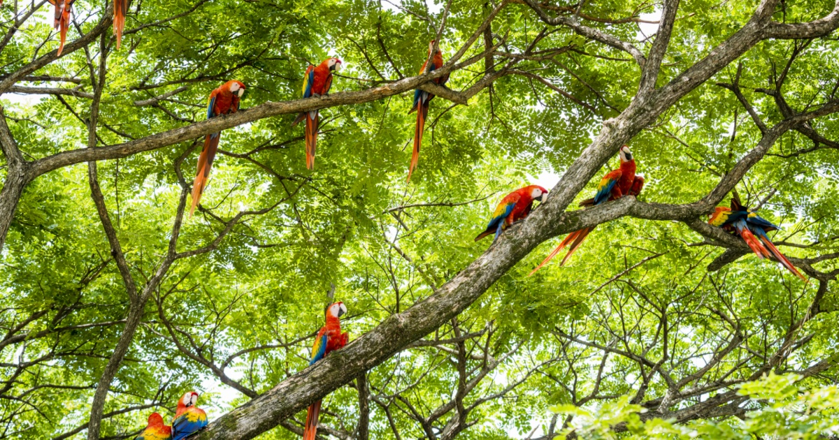 Vacanta Costa Rica, evadare intr-un paradis tropical - Travel Mood