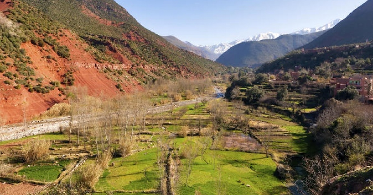 Muntii Atlas, Maroc: excursie de o zi din Marrakech - Travel Mood