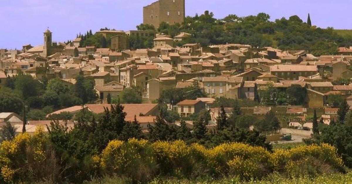 Provence: degustare vinuri & vizita podgorii Avignon - Travel Mood